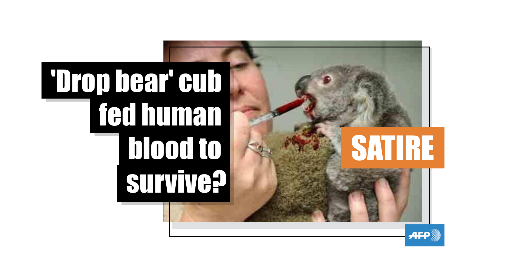 Are Drop Bears Dangerous