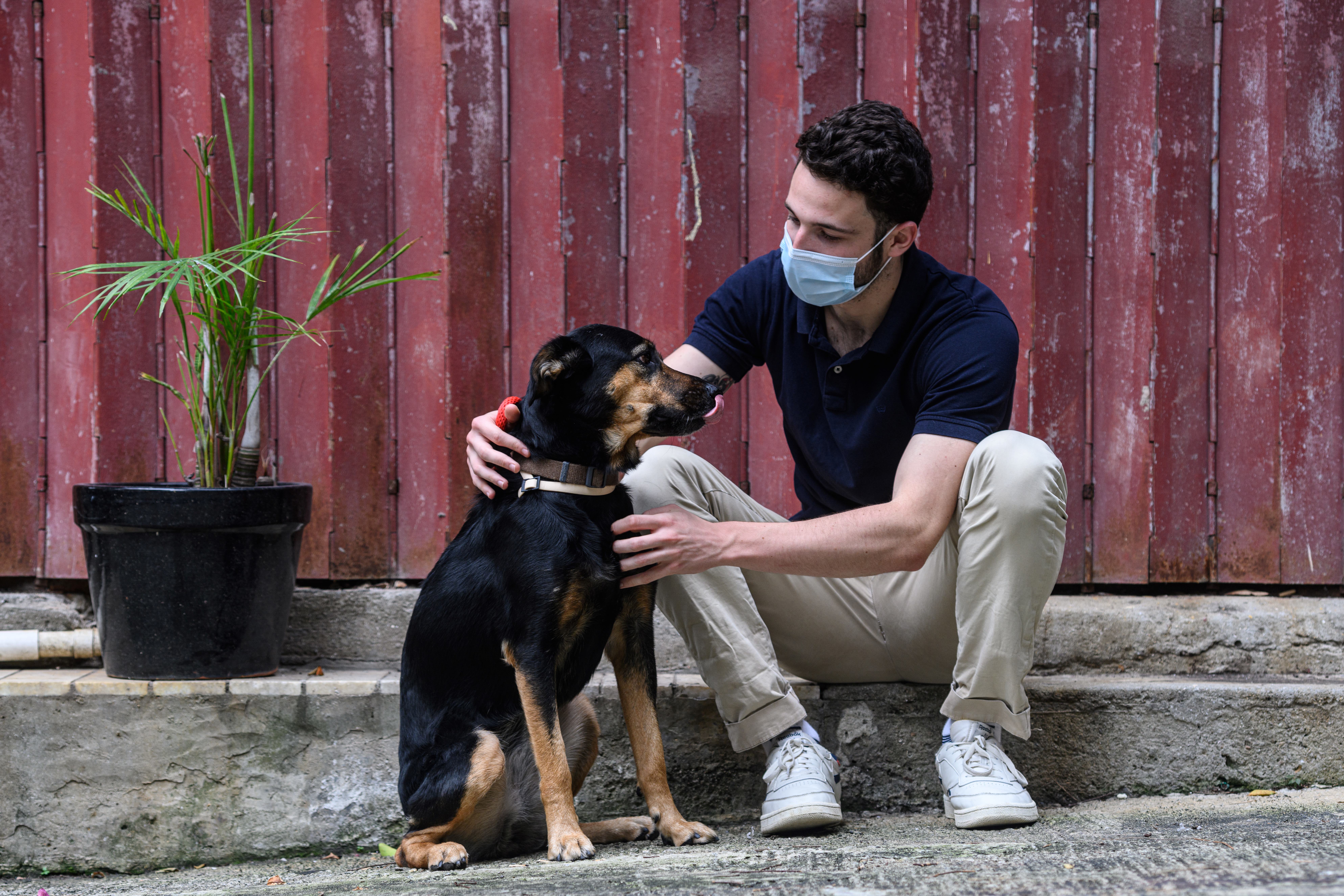 Misleading claim circulates on social media that pet owners should ...