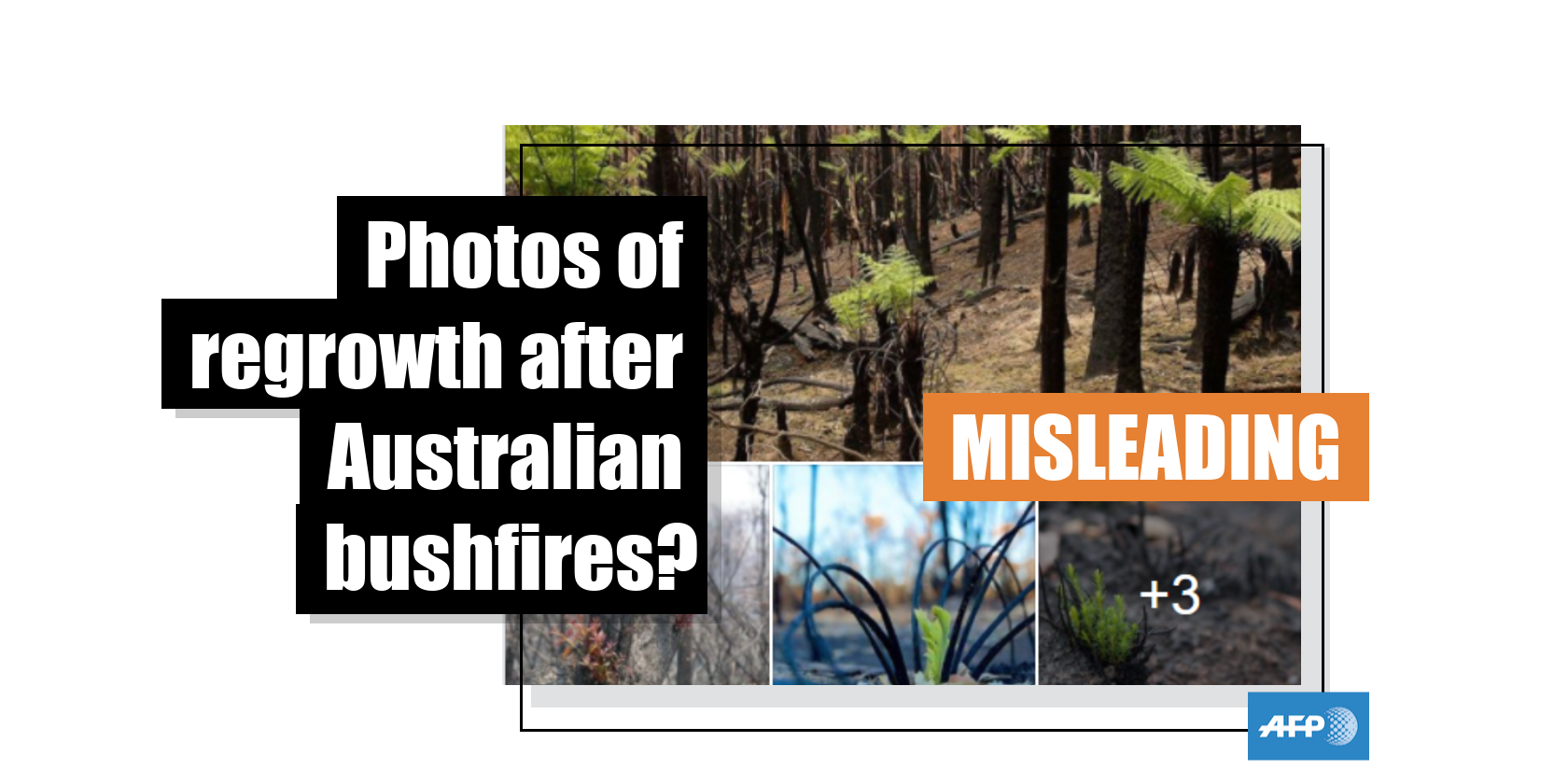 Most of these photos were taken years before the recent Australian ...
