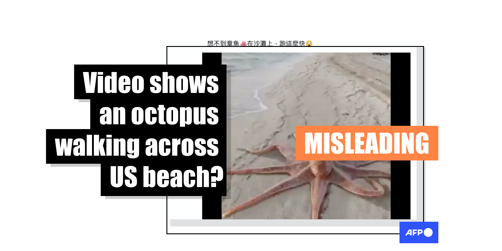 This video is a digital animation of an octopus | Fact Check