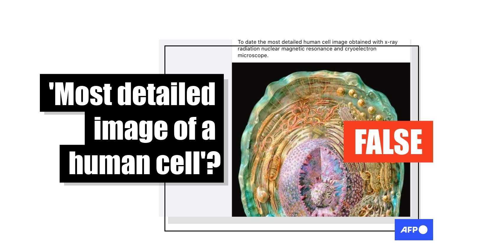 Illustration of animal cell misrepresented as 'most detailed image of ...