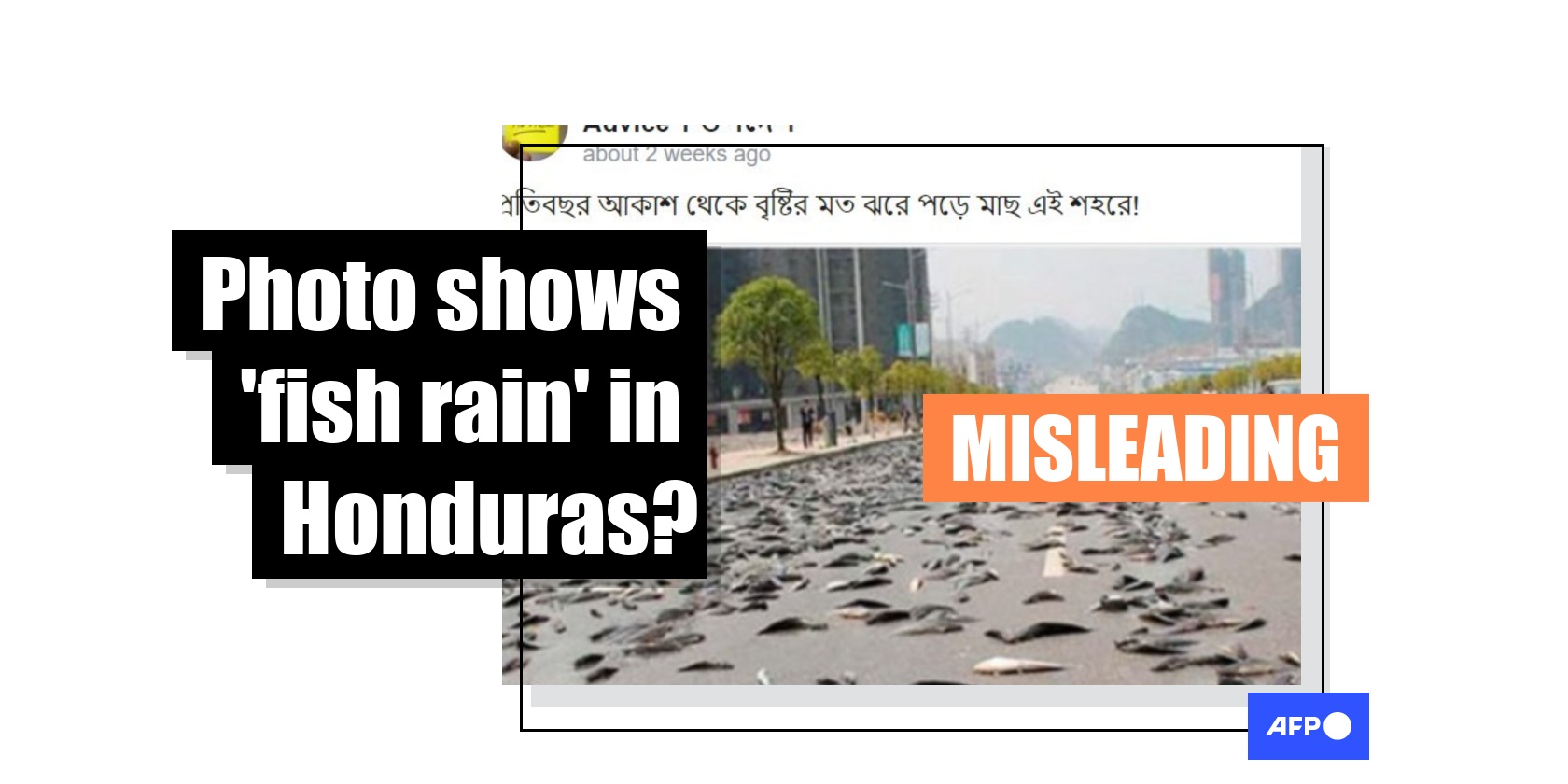 Reports of Honduras 'fish rain' show old photo of truck accident in ...