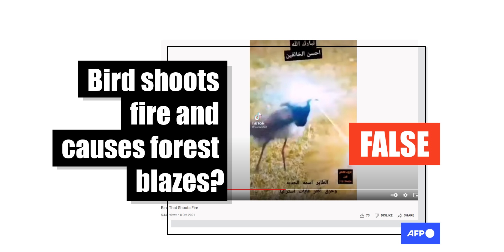 Posts falsely claim video shows fire-emitting bird that causes forest ...