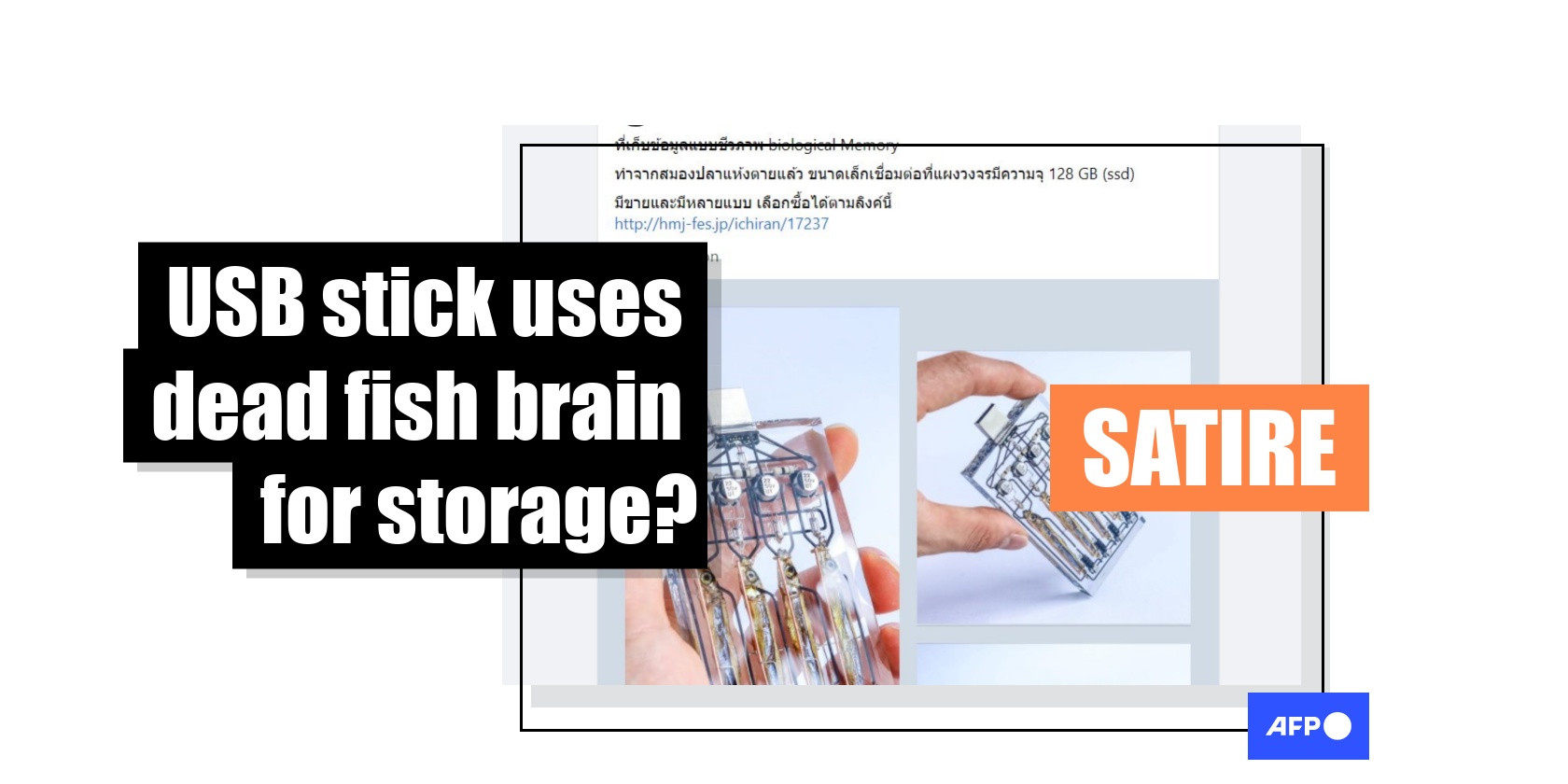 Japanese creator of fish-themed USB sticks says he developed them as a ...