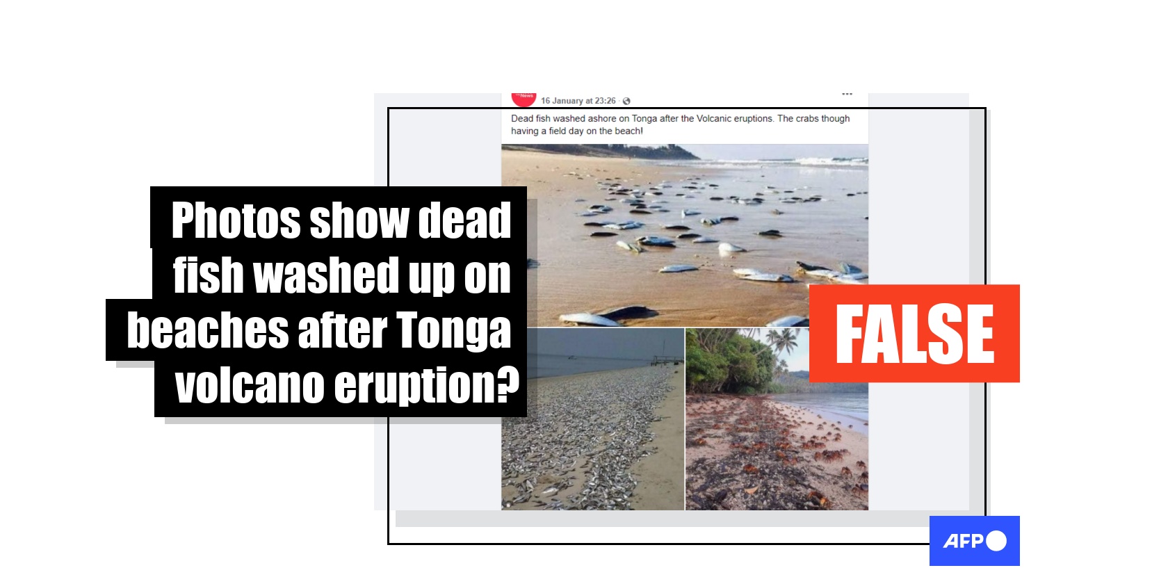 These photos circulated in reports before the Tonga volcano eruption ...