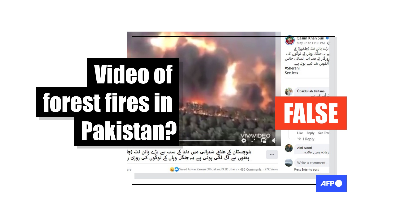 This video shows a bushfire in Australia, not a forest fire in Pakistan ...