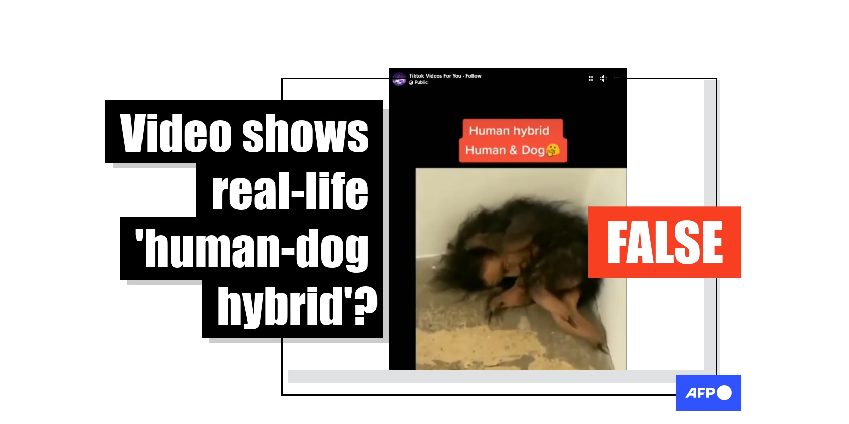 Human Dog Hybrid Sculpture Artist