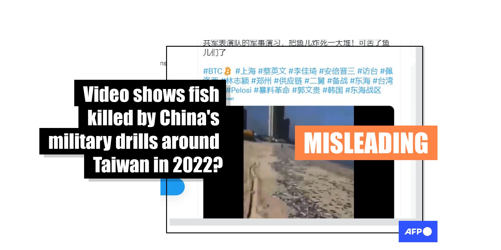 Old clip of dead fish on a beach misleadingly linked to China’s ...