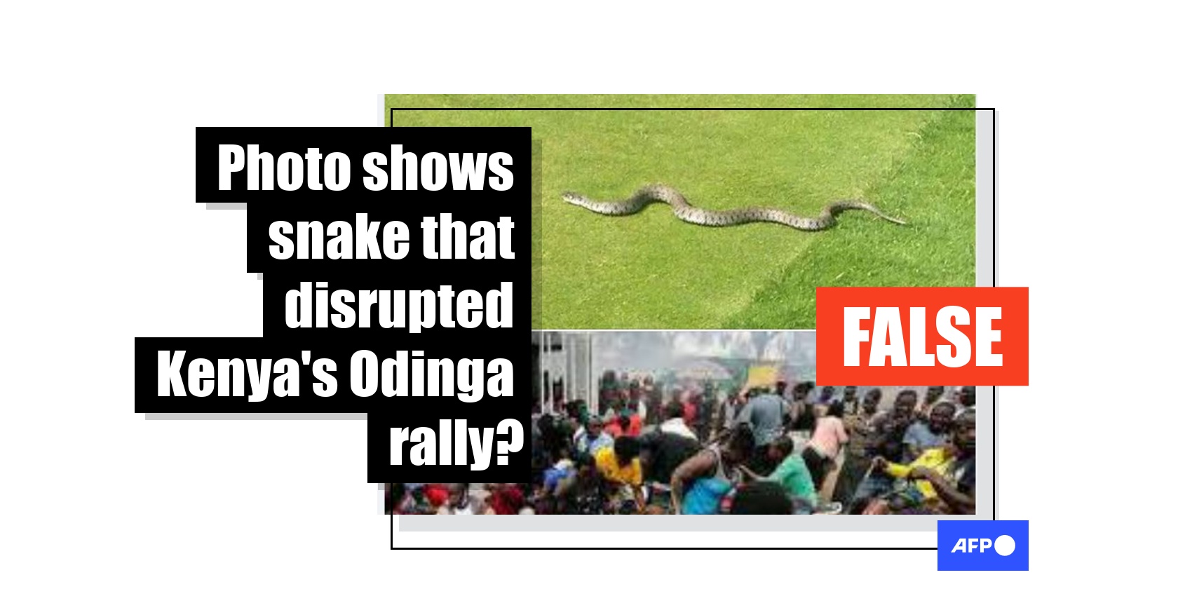 Facebook post falsely claims photos show 'snake' causing stampede at ...