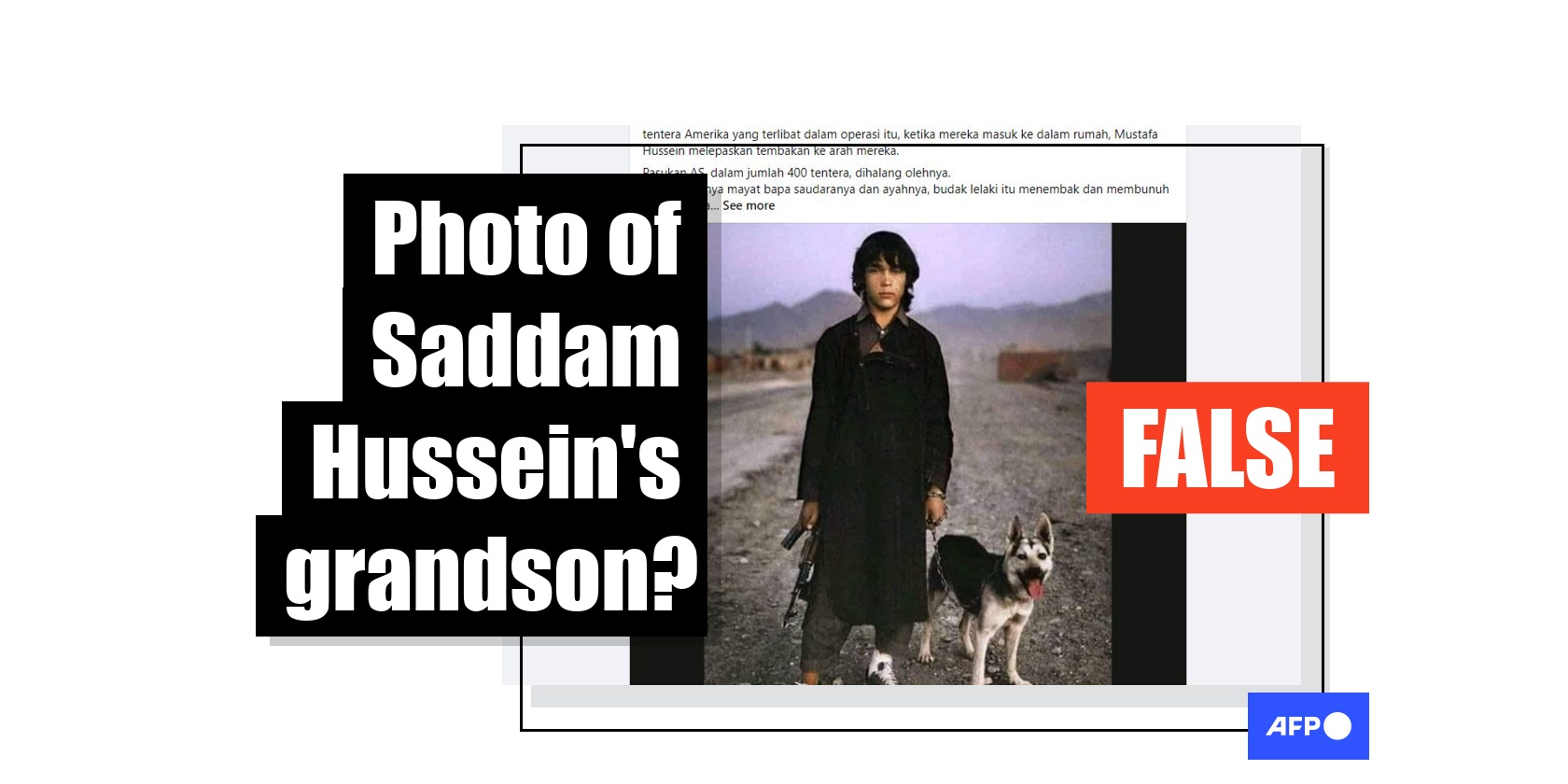 Photo of Afghan teen misrepresented as 'Saddam Hussein's grandson' | Fact Check