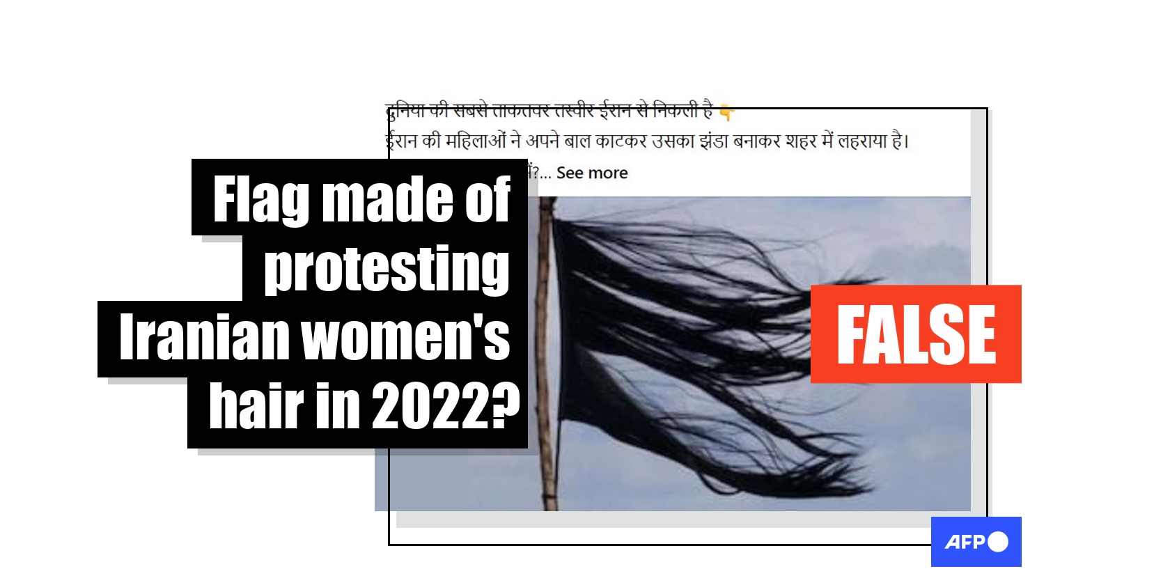 The 'hair flag' is artwork created by Belgian artist in 2014 -- years ...