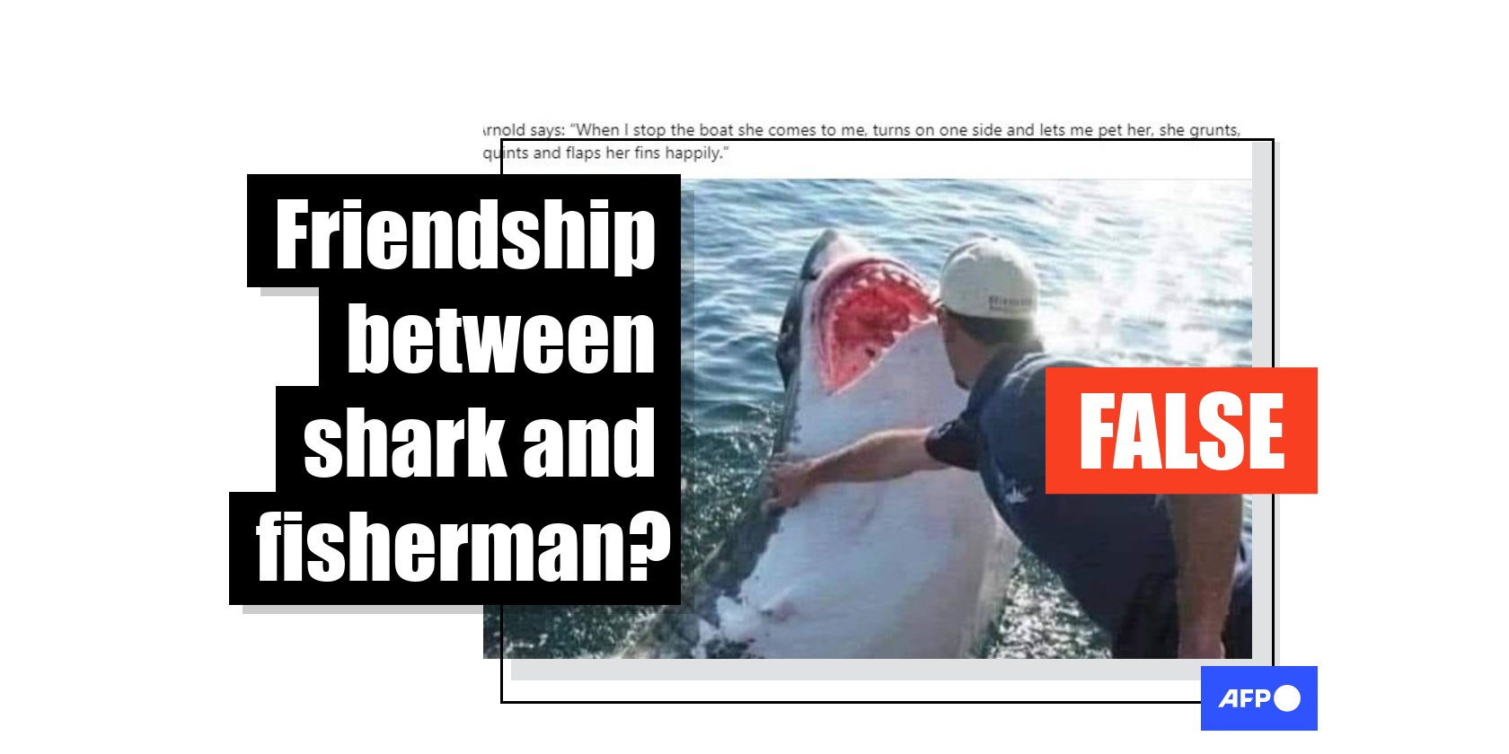Years-old April Fool's joke about fisherman 'Arnold Pointer' and shark ...