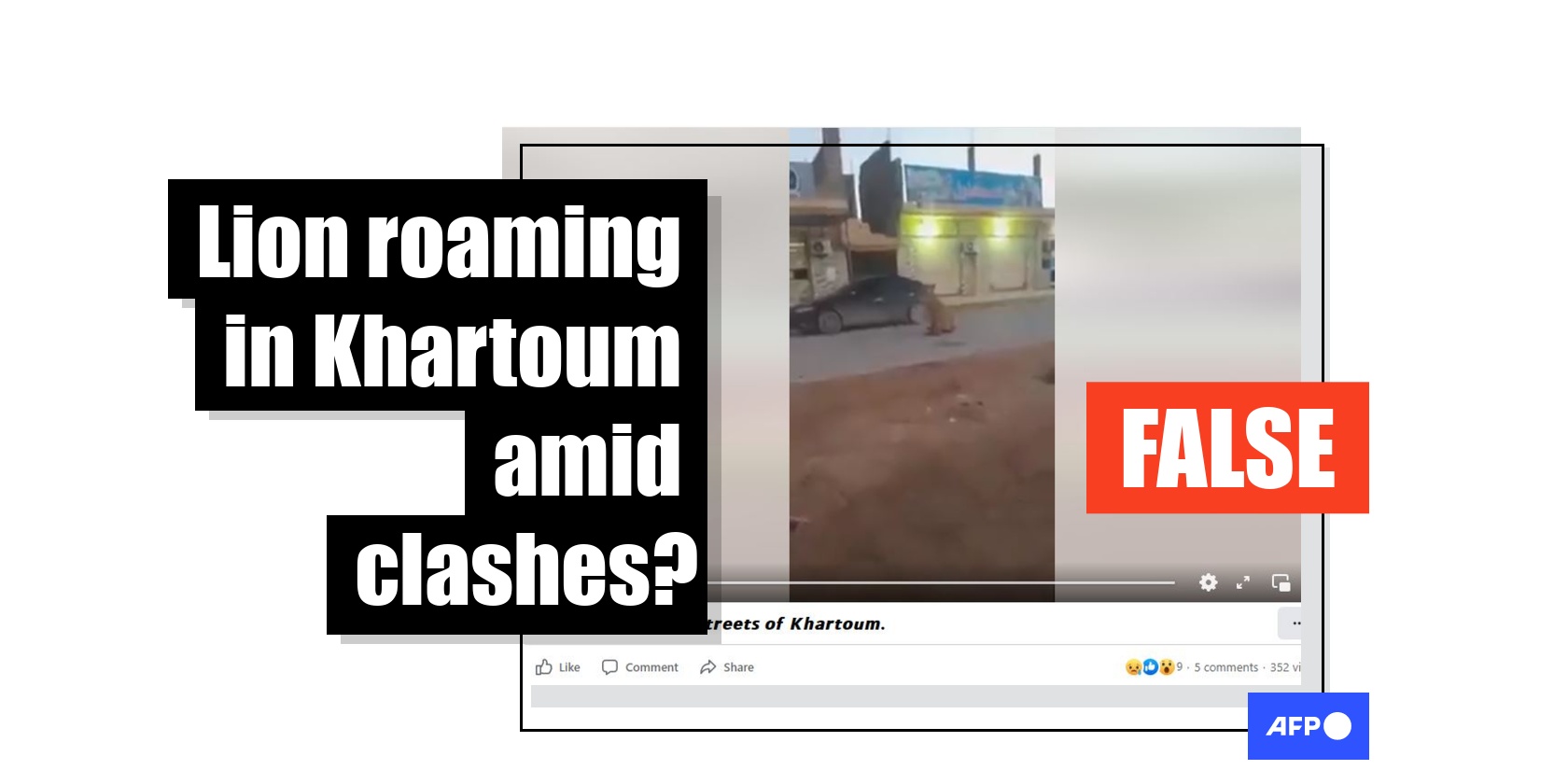 Old video of lion spotted in Libya falsely shared as filmed in Sudan ...