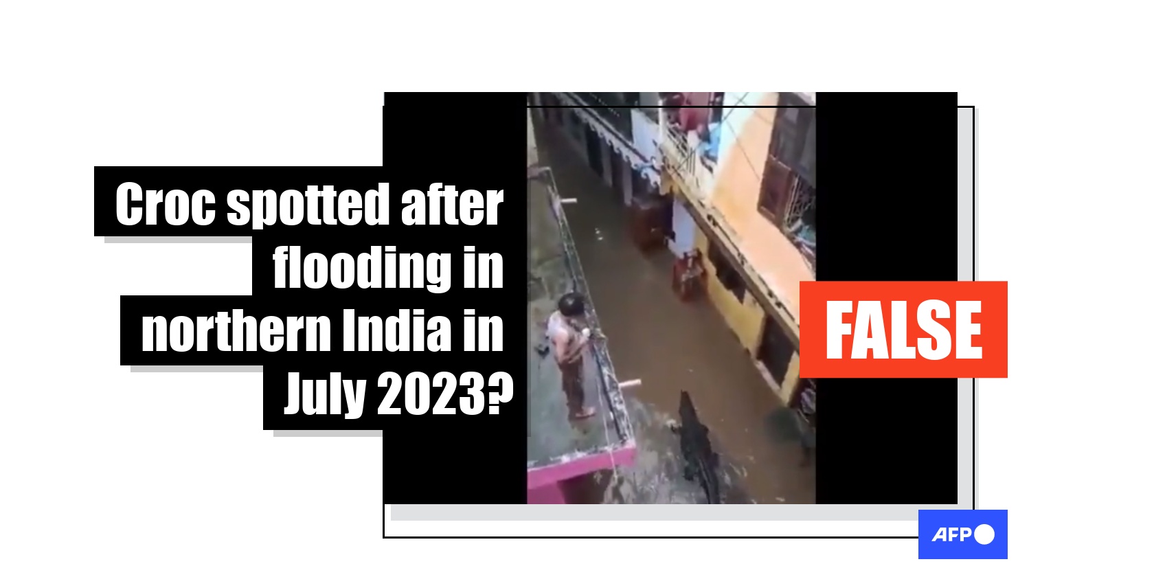 Old crocodile video falsely linked to recent flooding in northern India in July 2023 | Fact Check