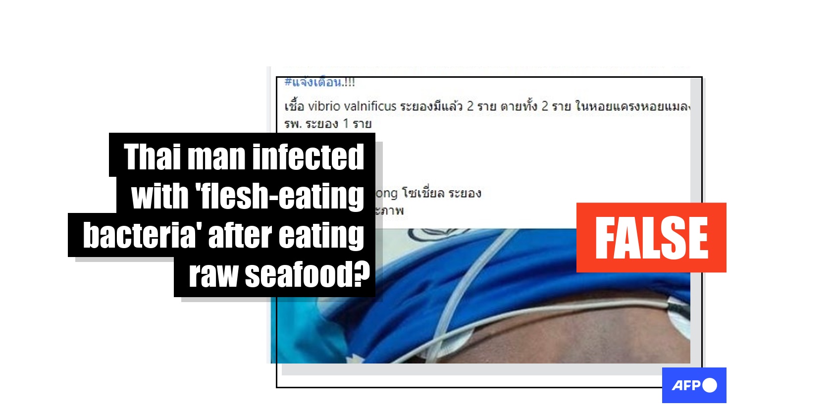 Thai social media posts spread false 'flesh-eating bacteria' claim ...