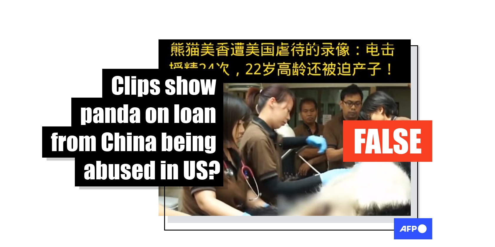 Unrelated clips misused in false posts claiming 'US abused panda Mei ... Unrelated clips misused in false posts claiming 'US abused panda Mei ...