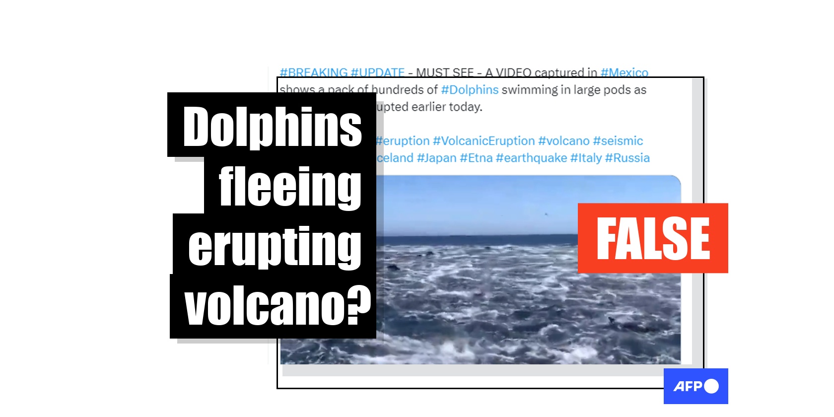 Dolphin 'stampede' unrelated to volcanic activity in Mexico | Fact Check