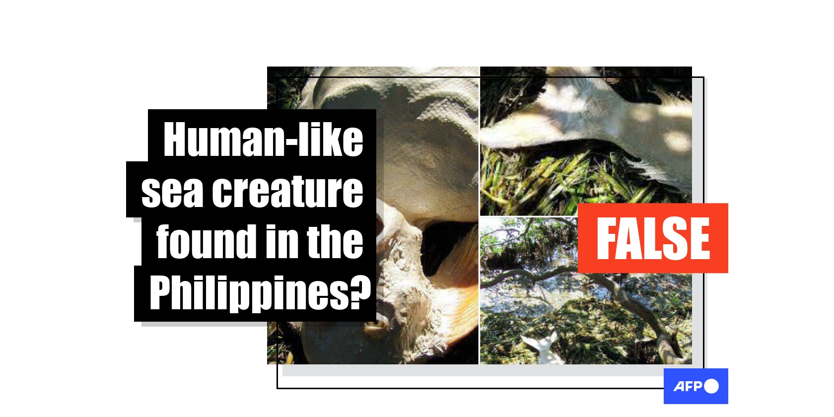 Artwork misrepresented as 'mythical sea creature washed up on ...