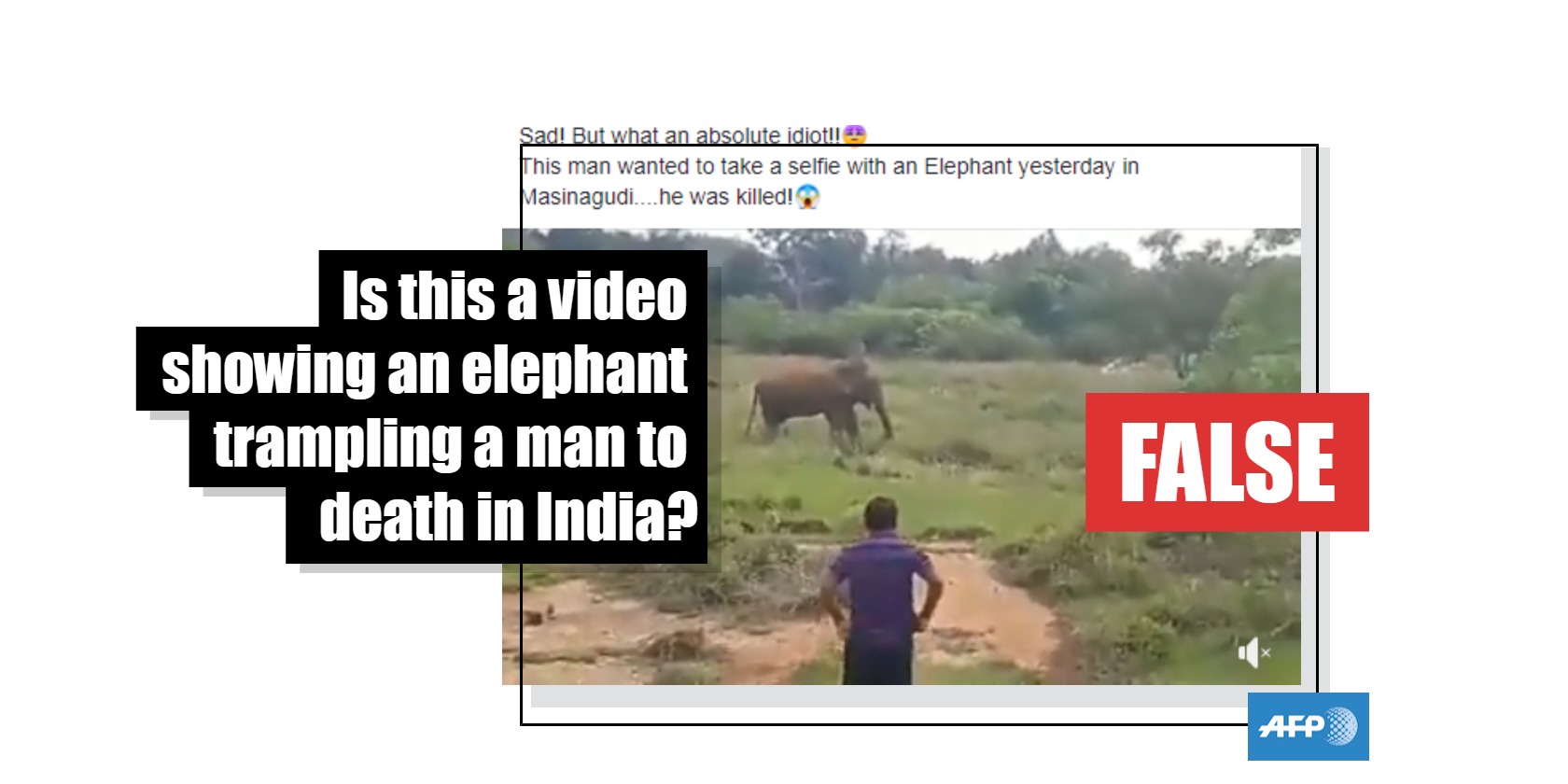 No, this is not a video of an elephant trampling a man to death in ...
