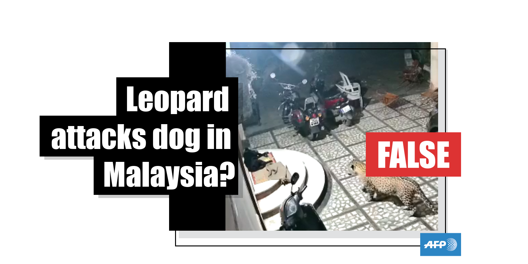 This video shows a leopard attacking a dog in India, not Malaysia ...