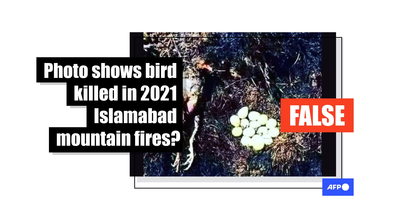 This photo of a dead bird has circulated in reports since 2020 about a ...