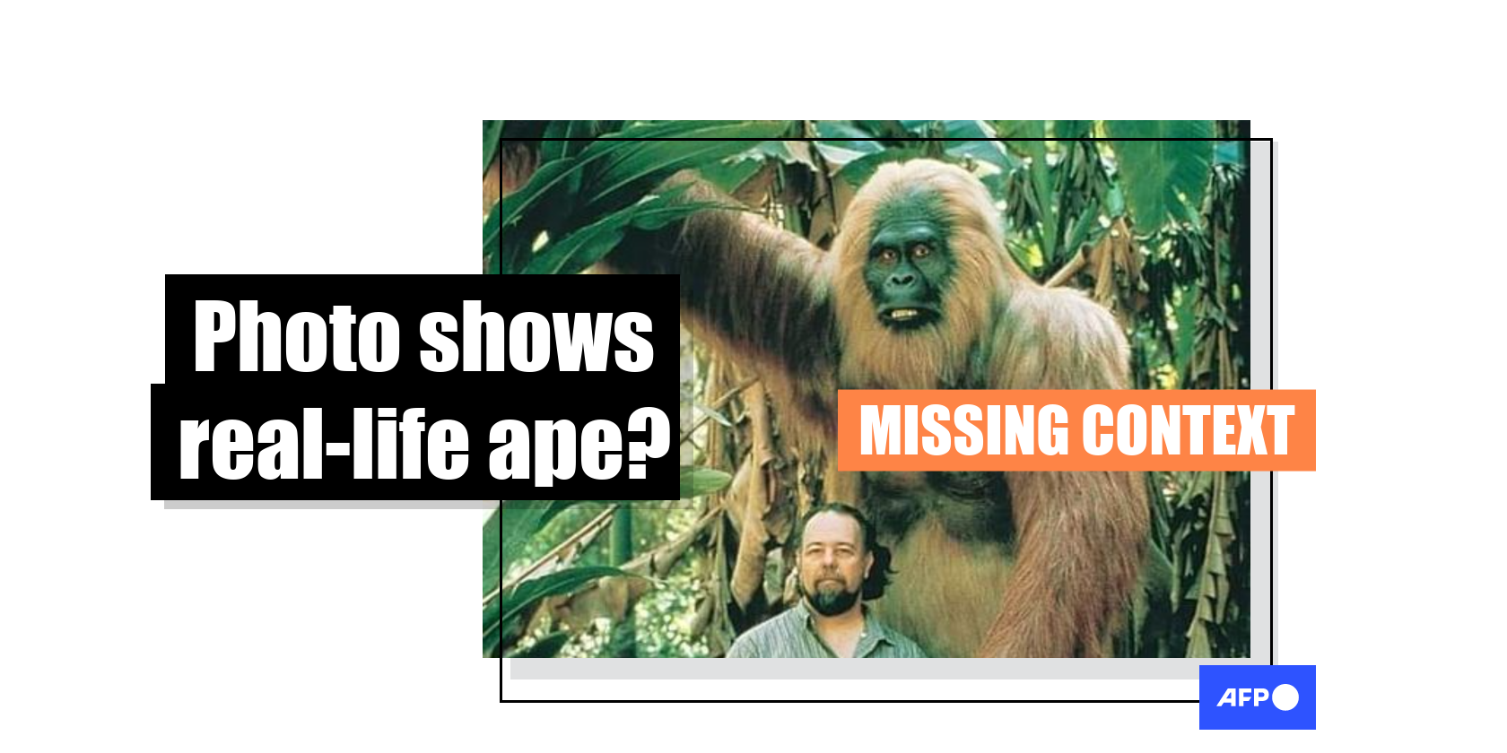 The photo shows a model of an extinct Gigantopithecus ape built by a ...