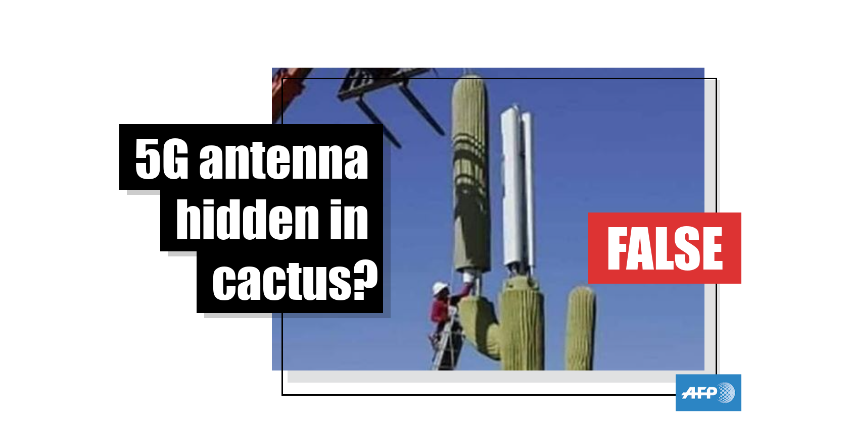 Photo of antenna in fake cactus taken almost a decade before 5G ...