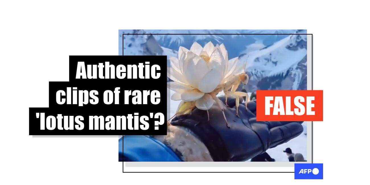 Deepfake video promotes Canadian investment scam | Fact Check