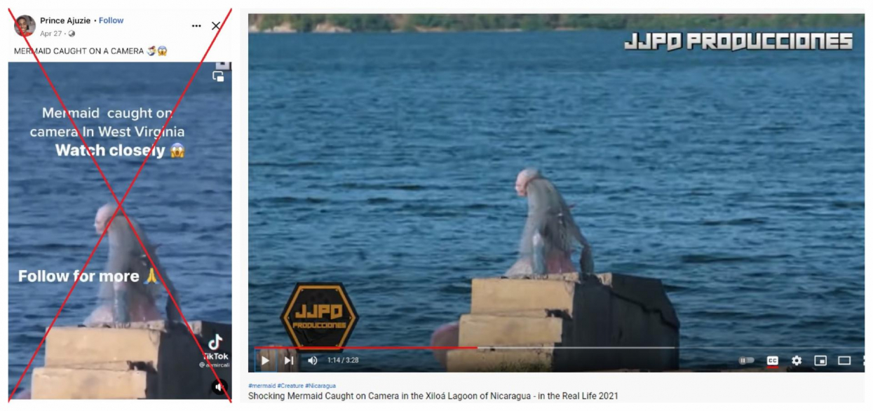 Animated Videos Misrepresented As Real Mermaids In Viral Social Media