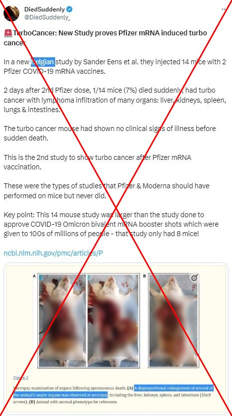 Paper does not prove Pfizer mRNA vaccine causes 'turbo cancer' | Fact Check