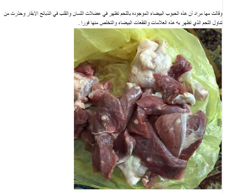 This photo circulated in a report about rotten meat and not the risks ...