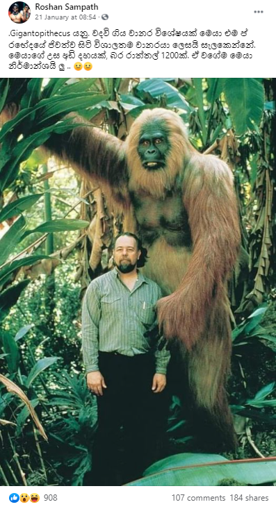 The photo shows a model of an extinct Gigantopithecus ape built by a ...