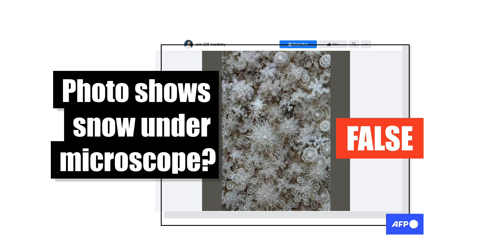 Snow Under Microscope