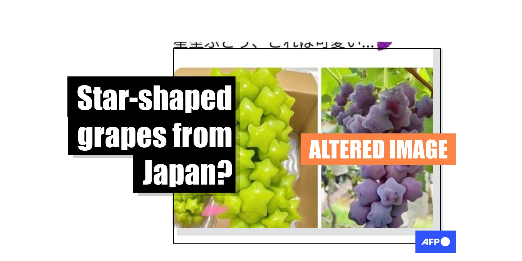 'Star-shaped grapes' from Japan do not exist, experts say | Fact Check