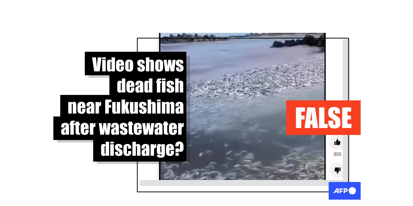 Old video resurfaced to claim it shows 'dead fish' after Fukushima ...