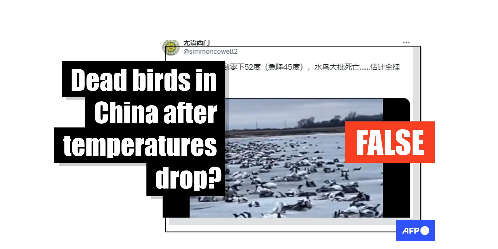 Video of dead birds frozen on lake falsely linked to record low ...