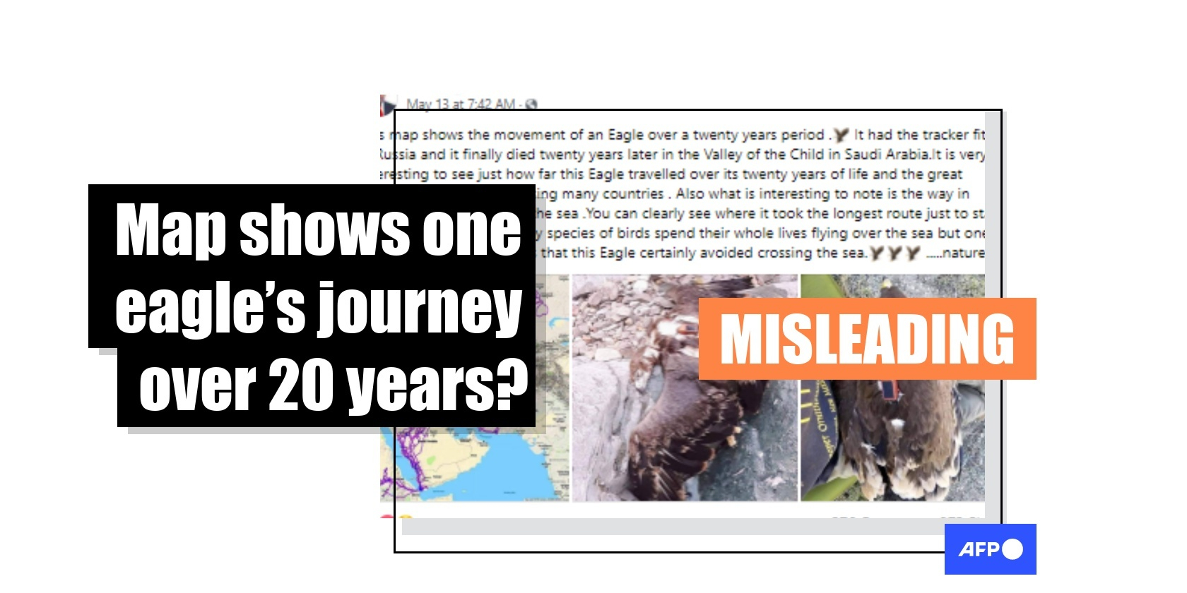 Map tracked the movement of 20 eagles over one year, not just of a ...