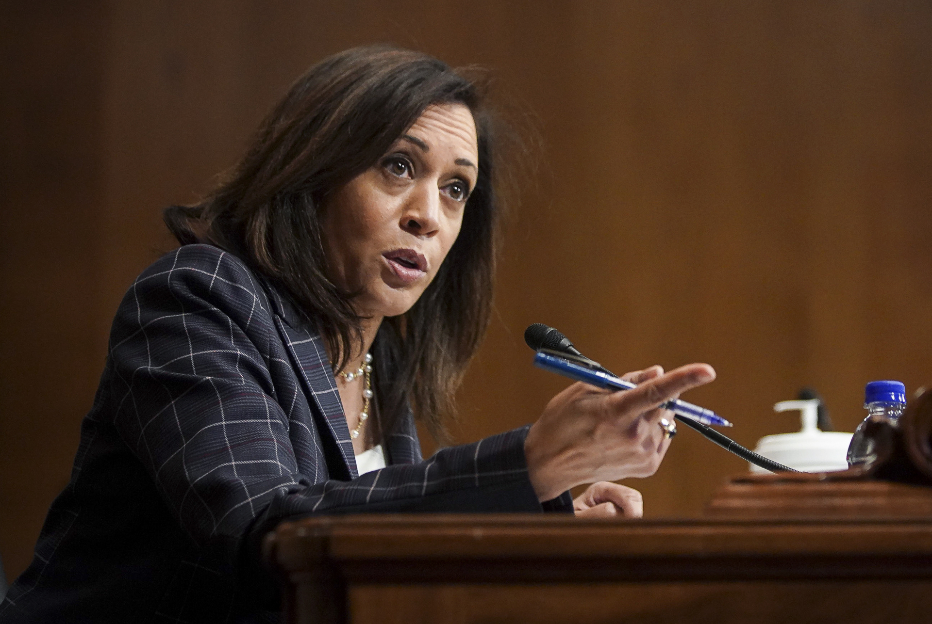 Kamala Harris Father Donald Harris