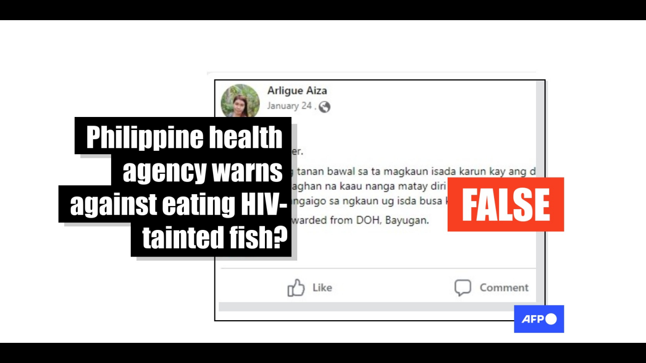 Social media users fall for hoax Philippine govt warning over 'fish ...