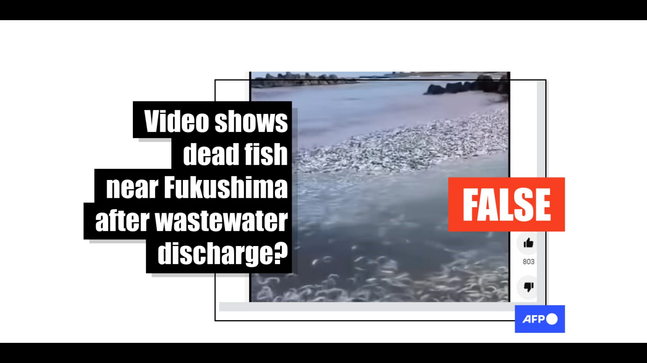 Old video resurfaced to claim it shows 'dead fish' after Fukushima ...