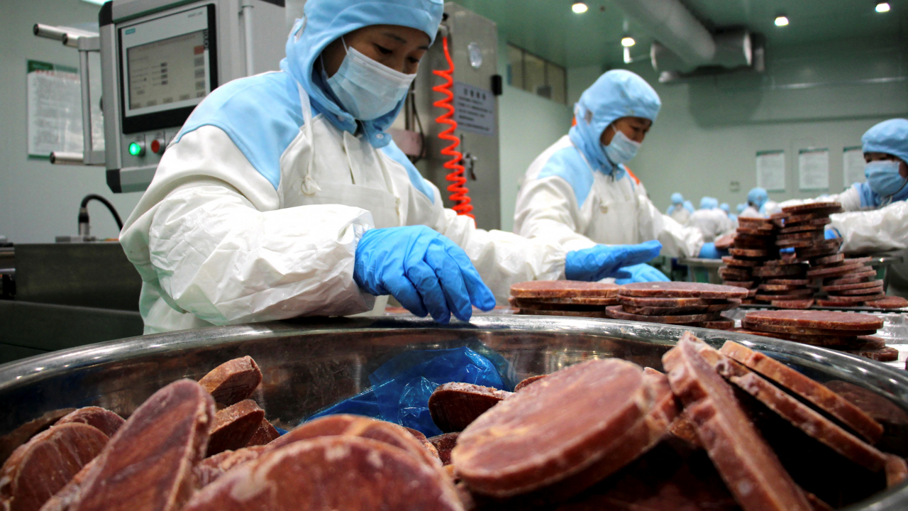 People are not dying from meat infected with lumpy skin disease | Fact ...